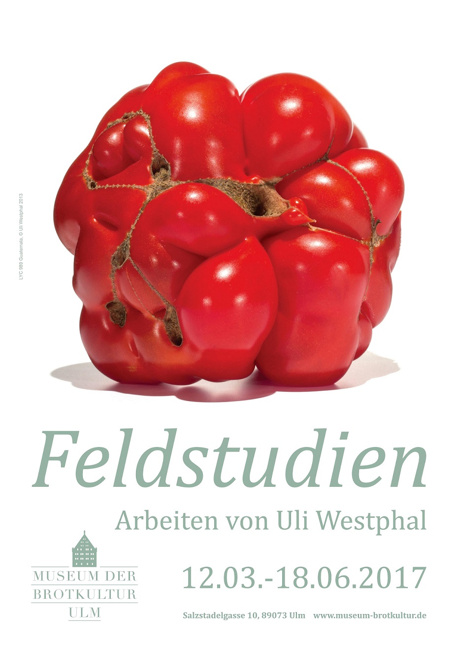 Feldstudien - Arbeiten von Uli Westphal – Museum Brot und Kunst